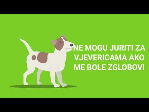 Canvit Chondro Maxi Mobility tablete za pse, 166 komada