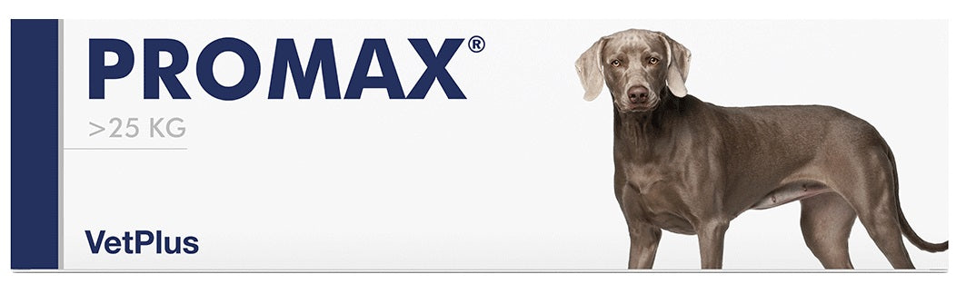 VETPLUS Promax Large za zdravu funkciju crijeva pasa 25kg, 30ml